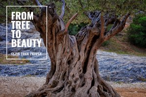 OLIVE TREE PEOPLE - Unternehmen - Handelsblatt