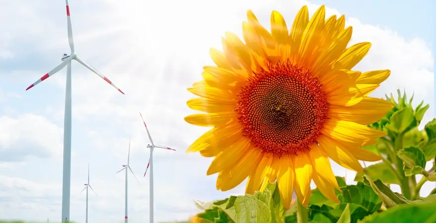 E.ON Stromtarife – Preisgarantie von bis zu zwei Jahren